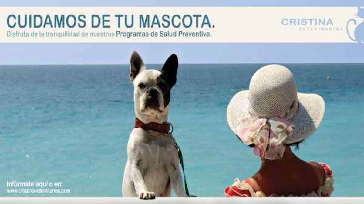 Elige Al Mejor Veterinario Para El Cuidado Emocional De Tu Mascota